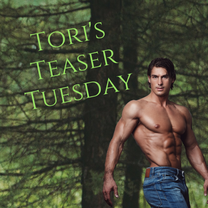Tori's Teaser Tuesday: A Wolf Hunted From Hearts on Fire Charity ...